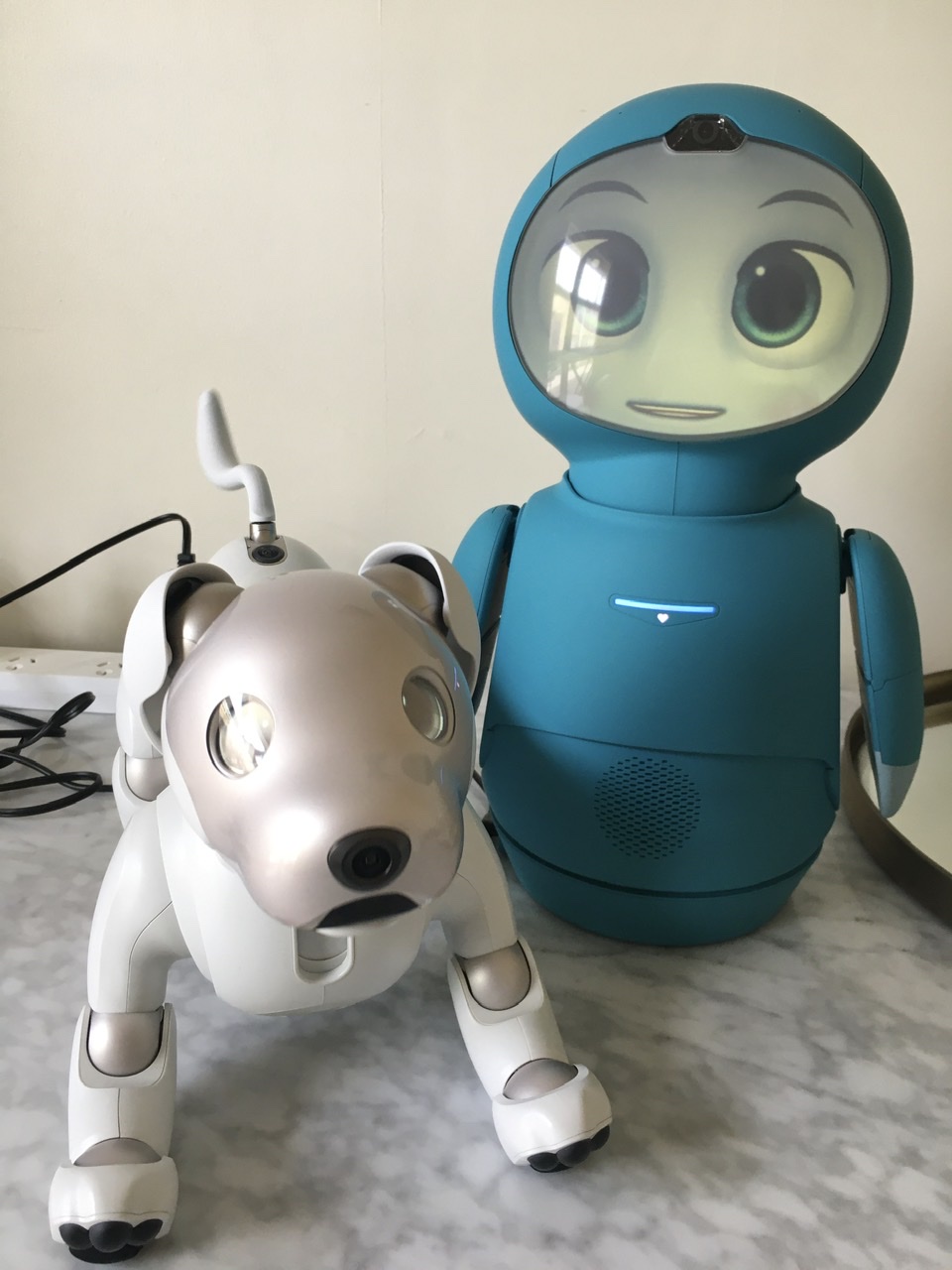 AE727923-E237-47A5-A3E3-EEA9380EF1B6.jpeg | Robots Around The House