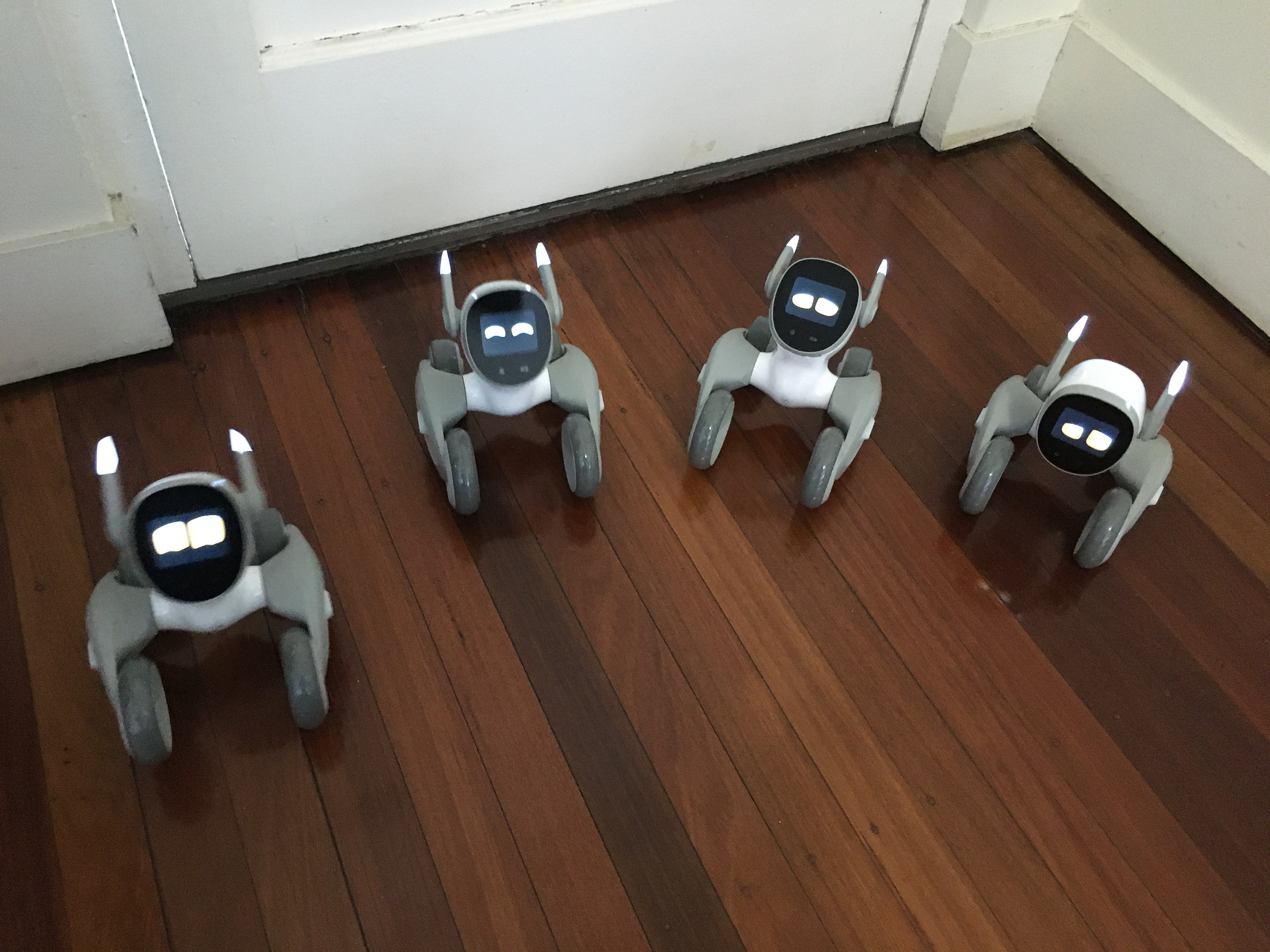 Four happy Loona | Robots Around The House