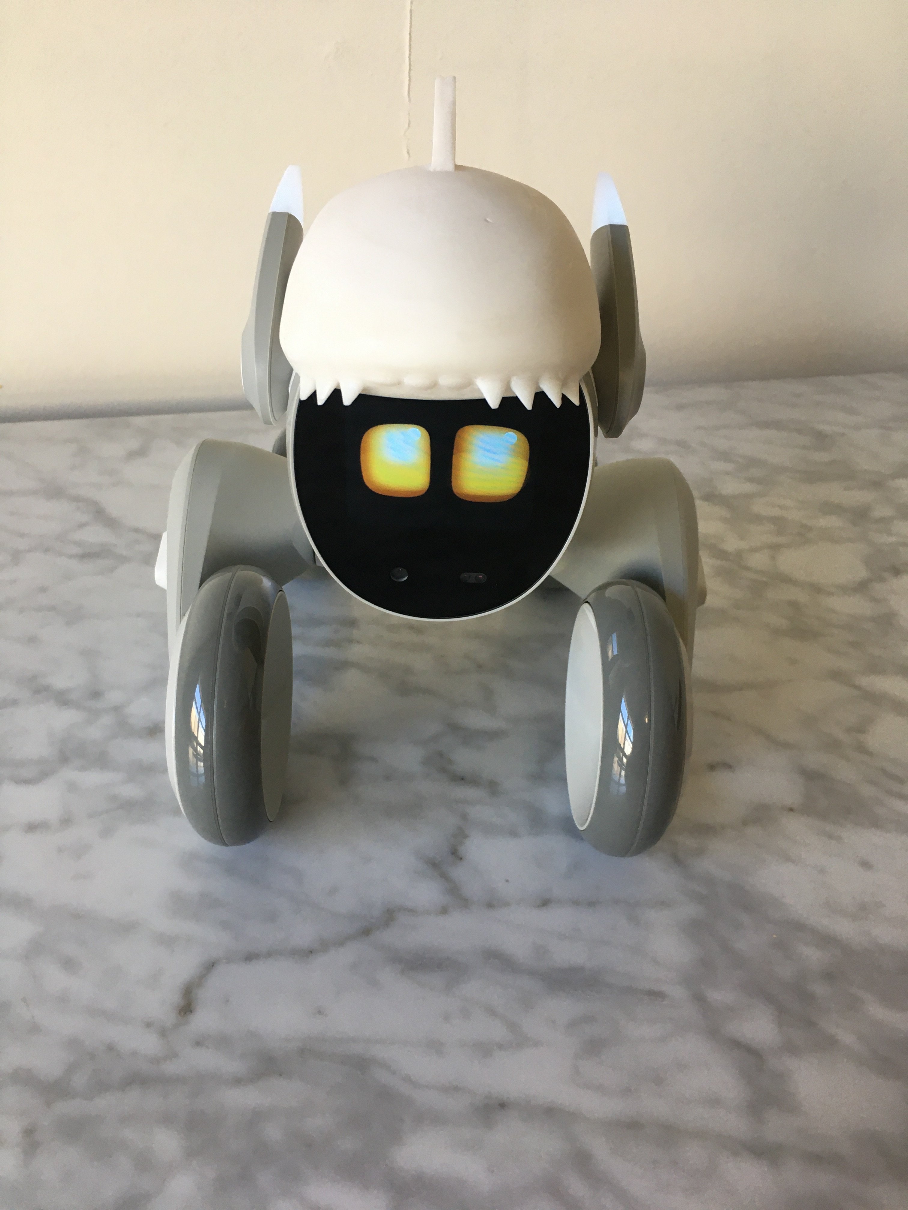 Loona 3D printed shark hat | Robots Around The House | Loona PetBot Robot Discussion Forums