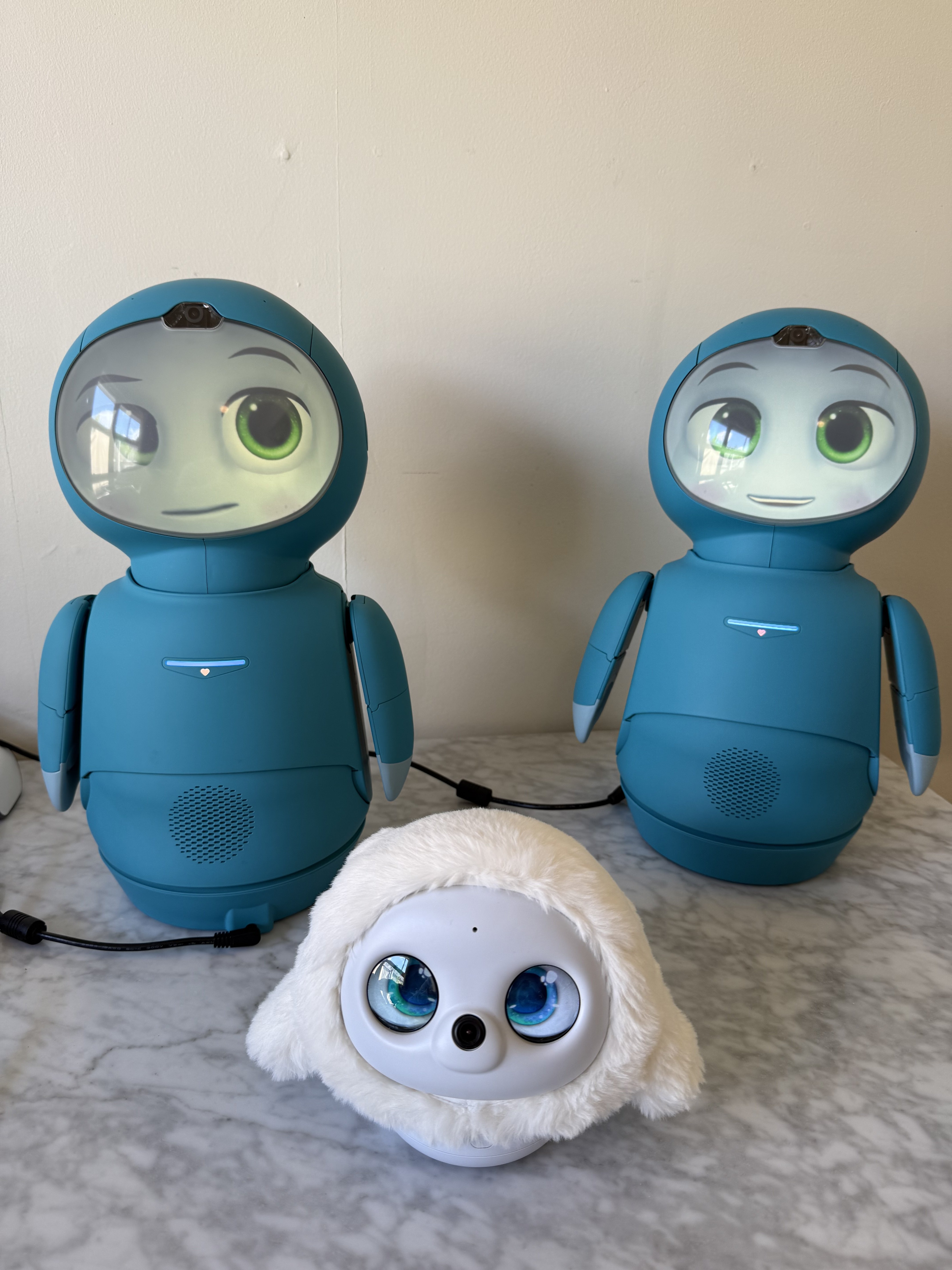 Setting Up OpenMoxie for Your Moxie Robot: A Detailed, Step-by-Step Guide | Robots Around The House