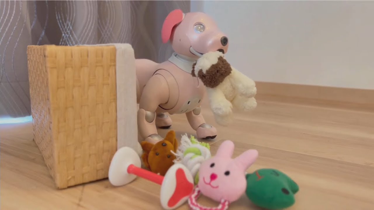 How To Update A Japanese Aibo using the MyAibo website | Robots Around ...